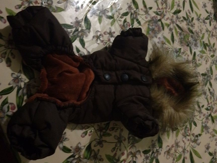 Одежда для маленьких пород собак