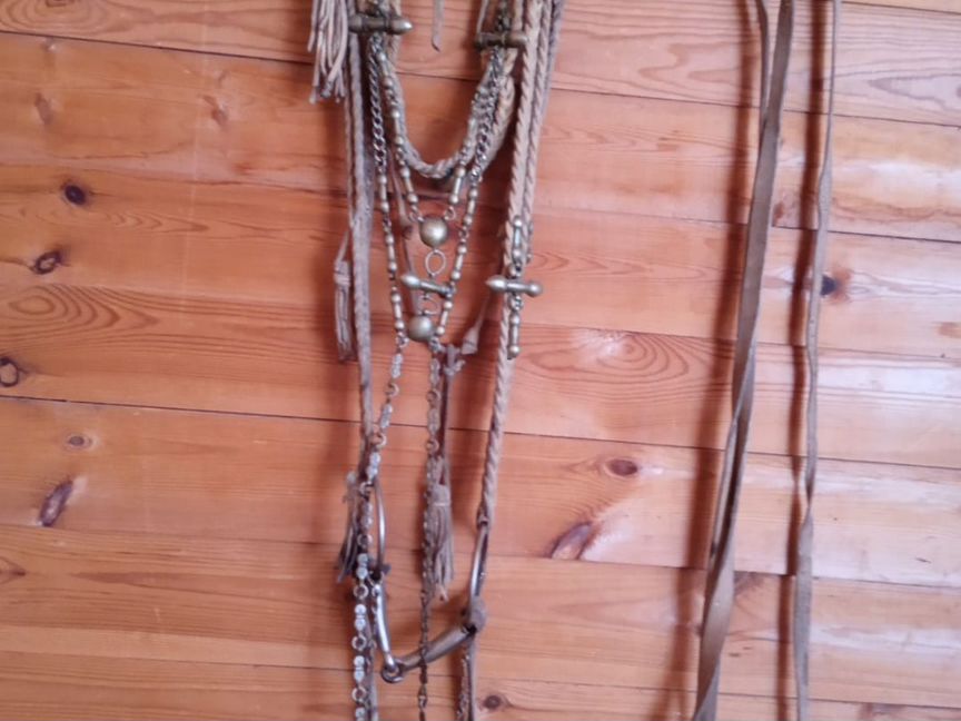 Уздечка для лошади