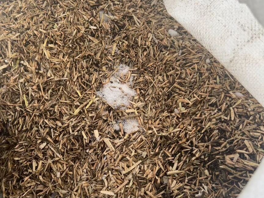 Отсев в мешках