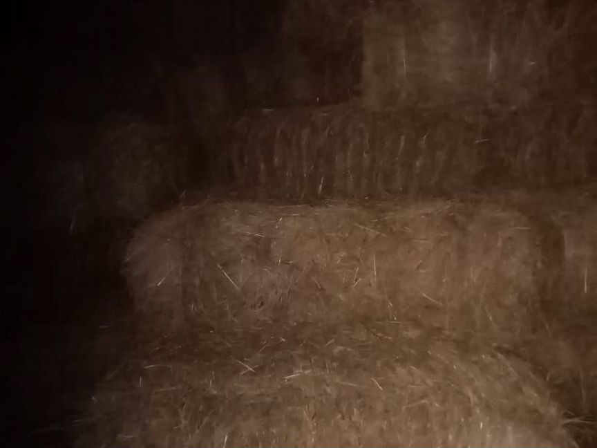 Сено в тюках