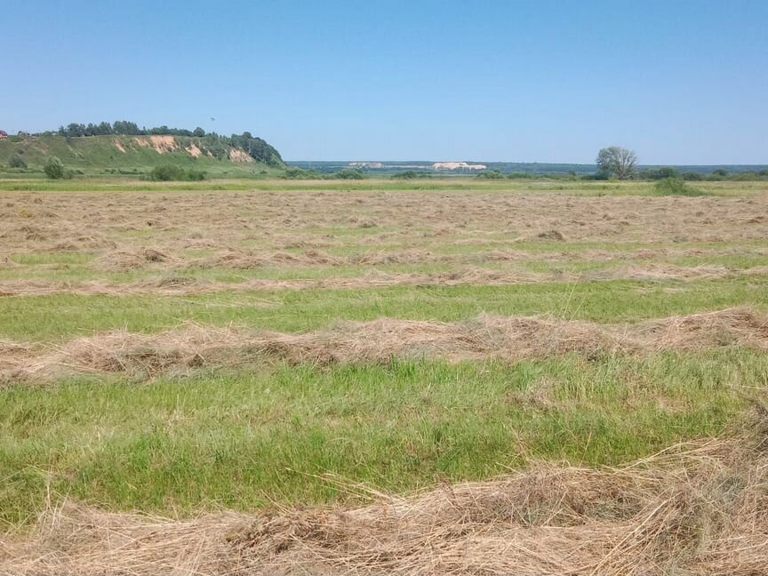 Сено луговое мелкое разнотравье