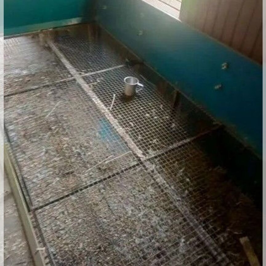 Курятник для бройлеров