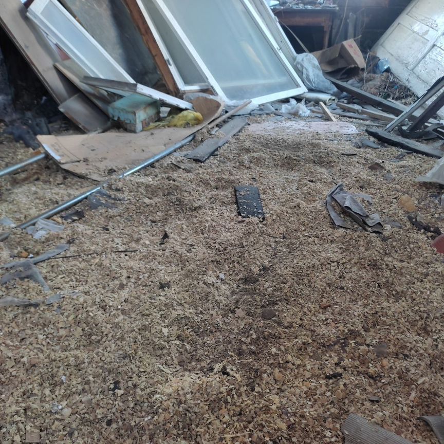 Опилки бесплатно, самовывоз