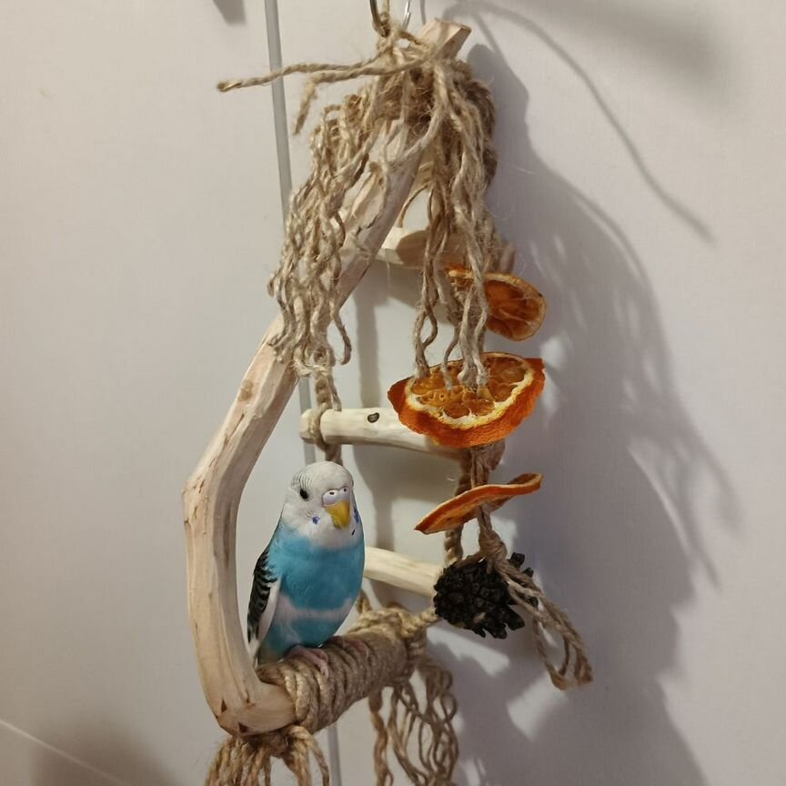 Игрушка сидушка для птиц