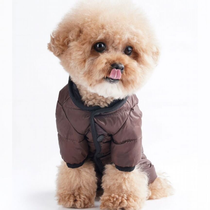 Комбинезон для собак мелких пород девочка