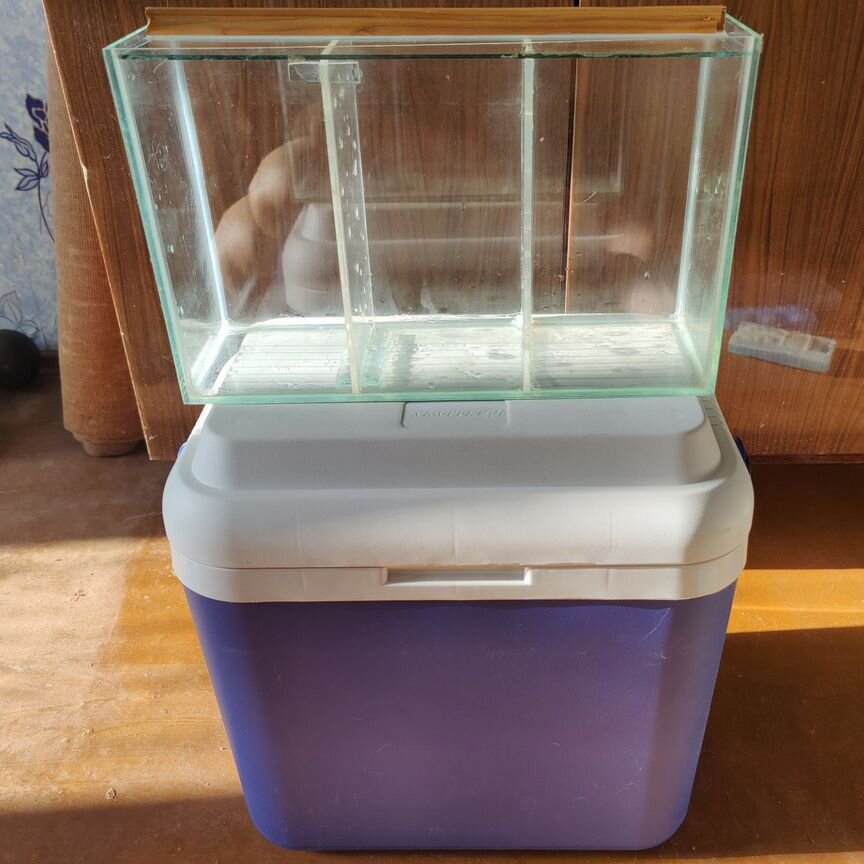 Аквариум   термо сумка