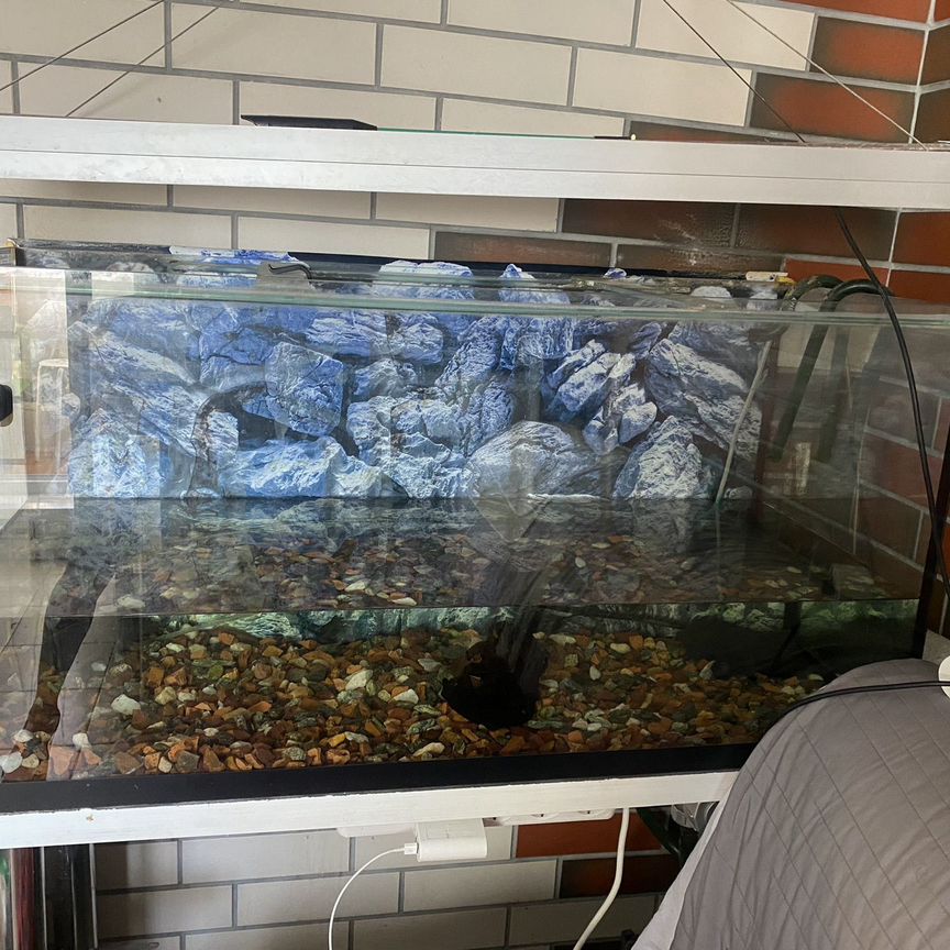 Аквариум 100*40 см, высота 50 см, 200 литров