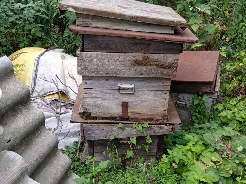 Ульи и медогонка