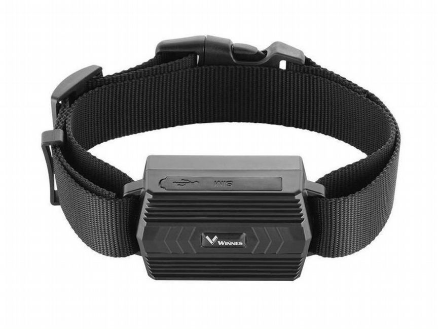 GPS трекер для животных TK Star 935