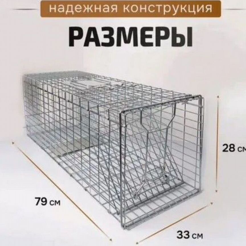 Кошколовка