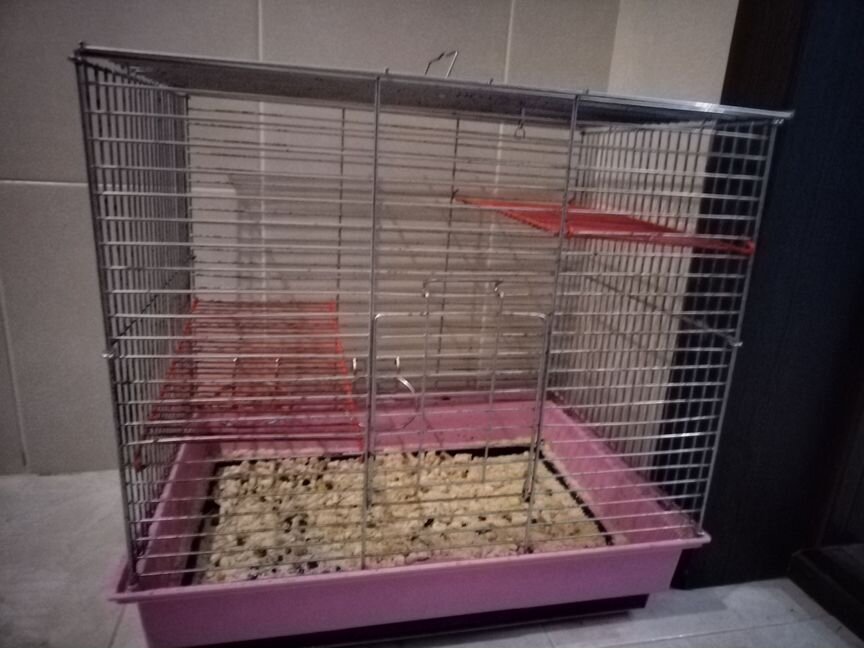 Клетка для декоративных крыс, хомяков, свинок