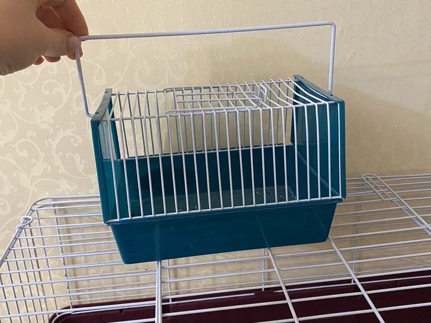 Клетка переноска для грызунов и морской свинки