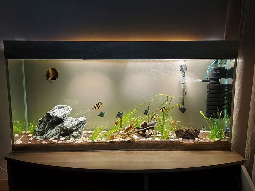 Аквариум на 200 литров