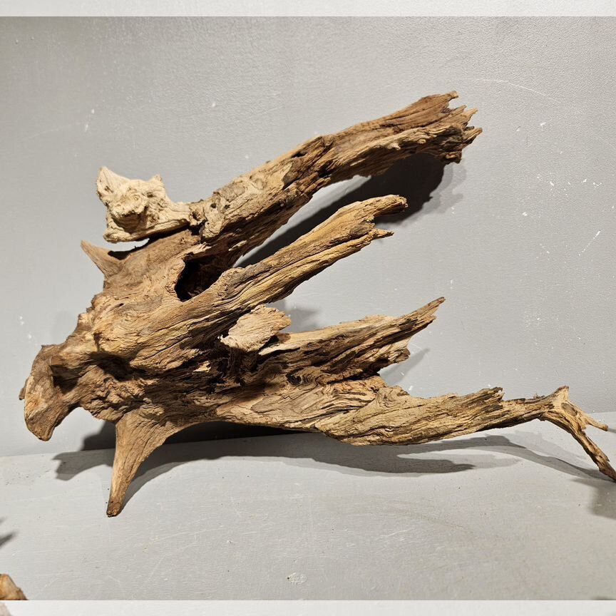 Коряги для террариума