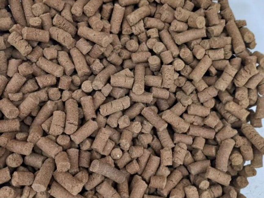 Корм для собак