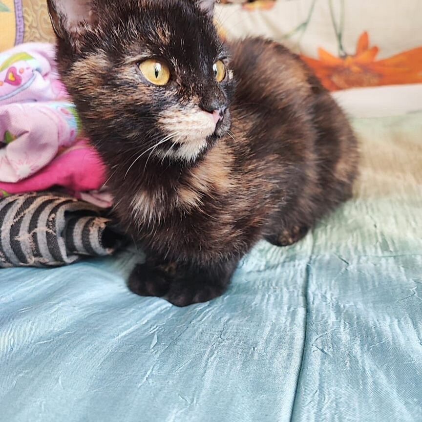 В ответственные руки