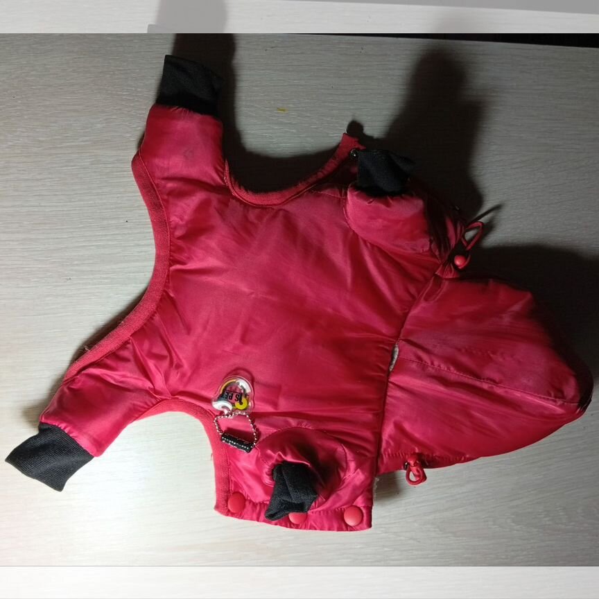 Одежда для маленьких пород собак