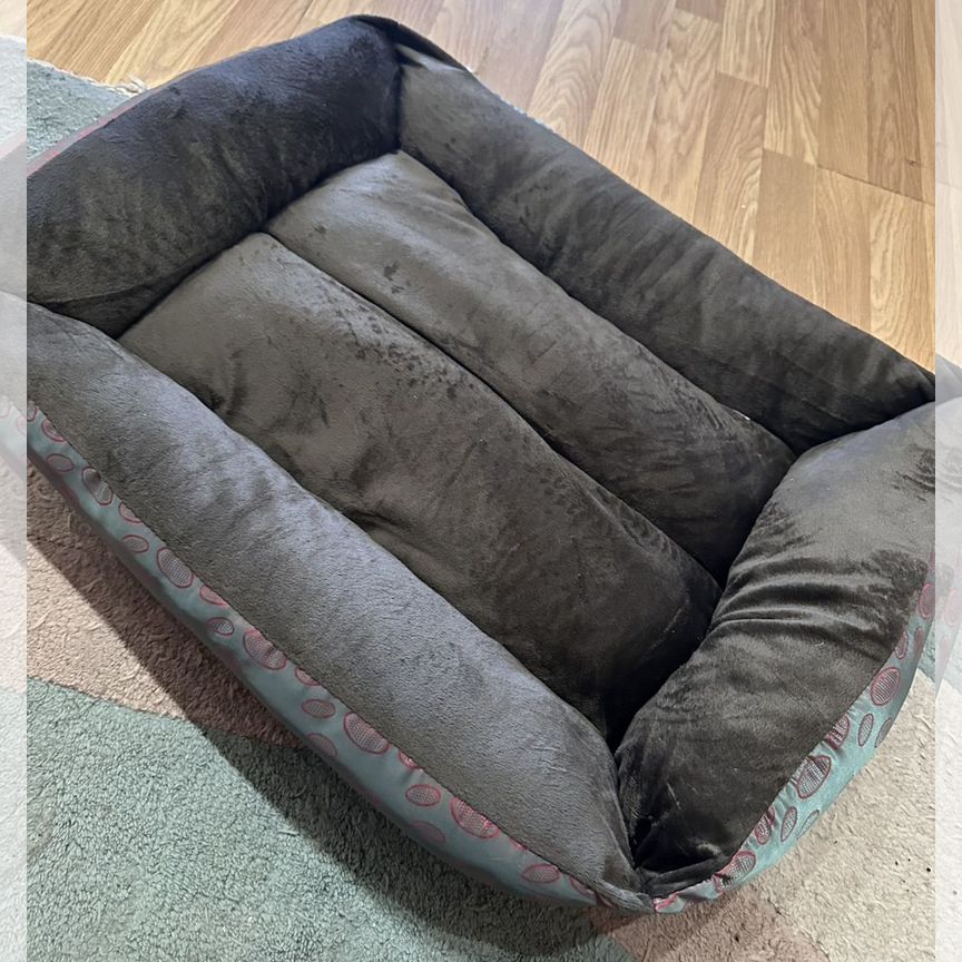 Лежанки для собак и кошек