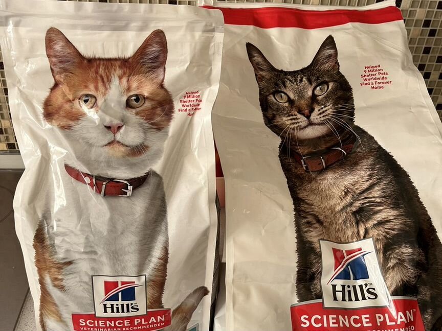 Корм для клшек Hills