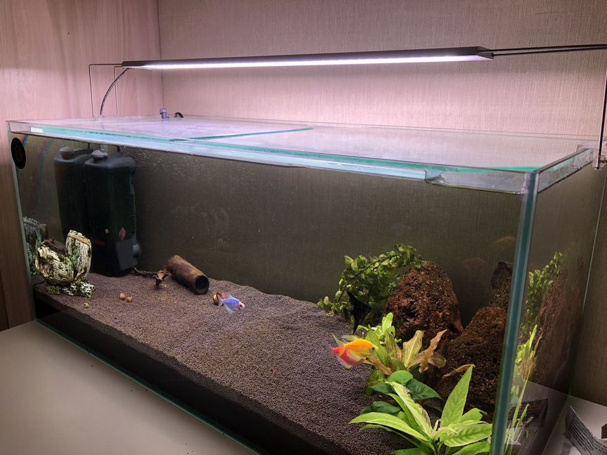 Аквариум 100 литров