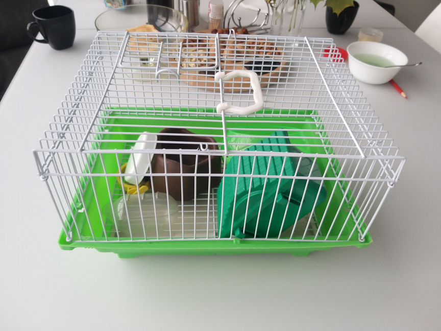 Клетка для хомяка бу