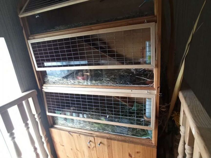 Клетка для грызунов