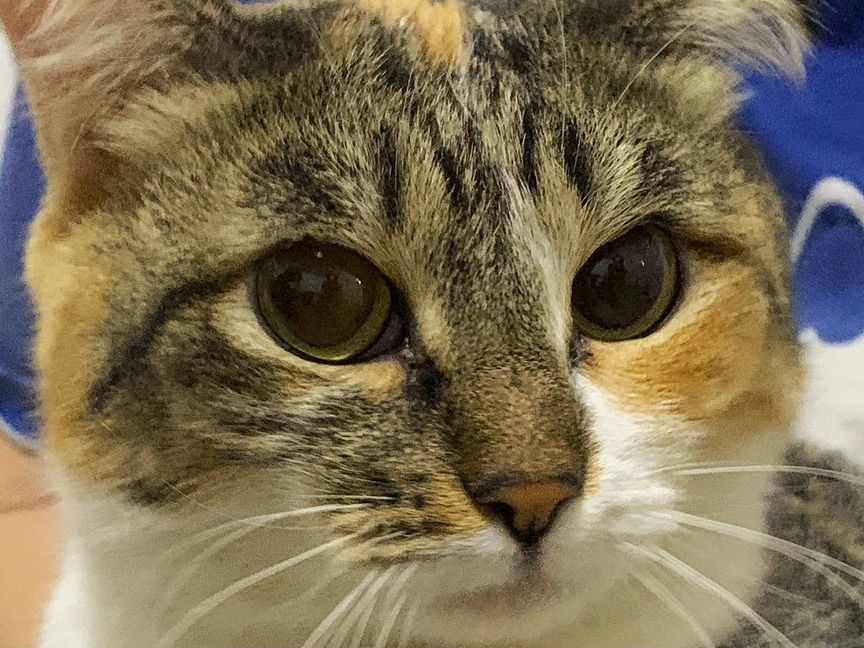 Верните веру в людей