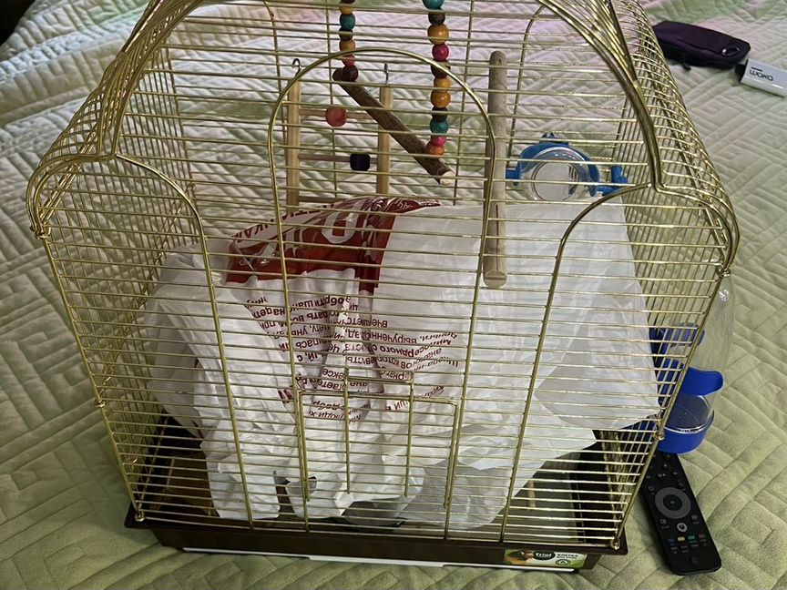 Клетка для попугая в очень хорошем состоянии