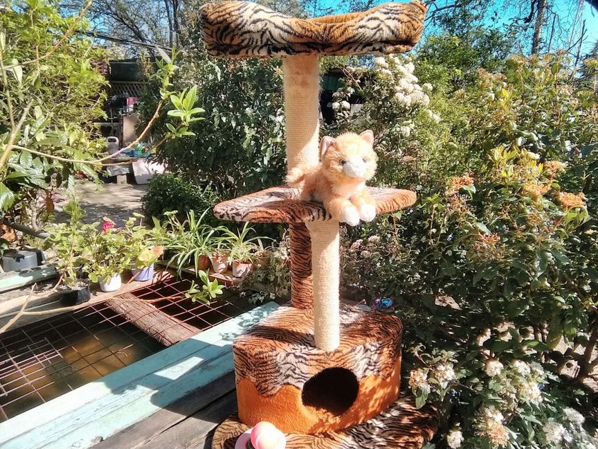 Когтеточка с домиком