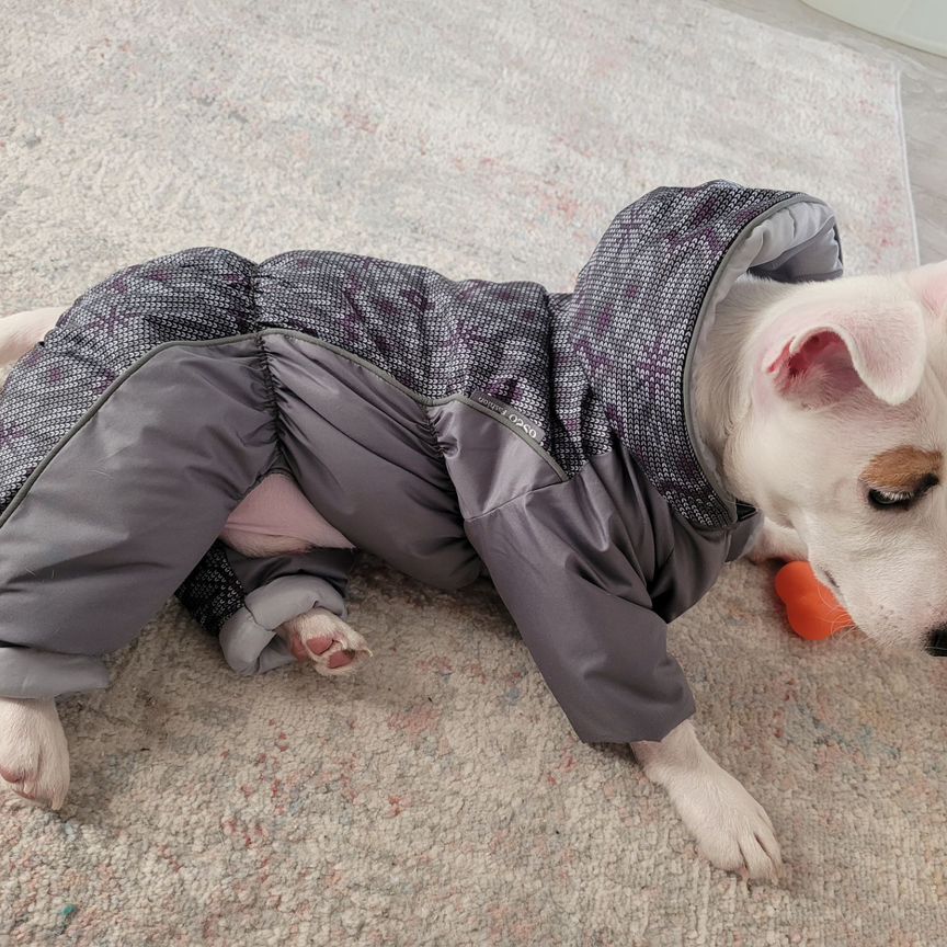 Костюм для собаки зимний