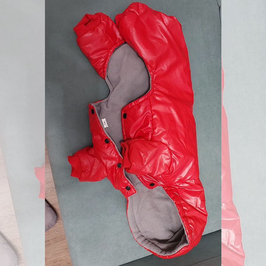 Одежда для собак средних пород девочка