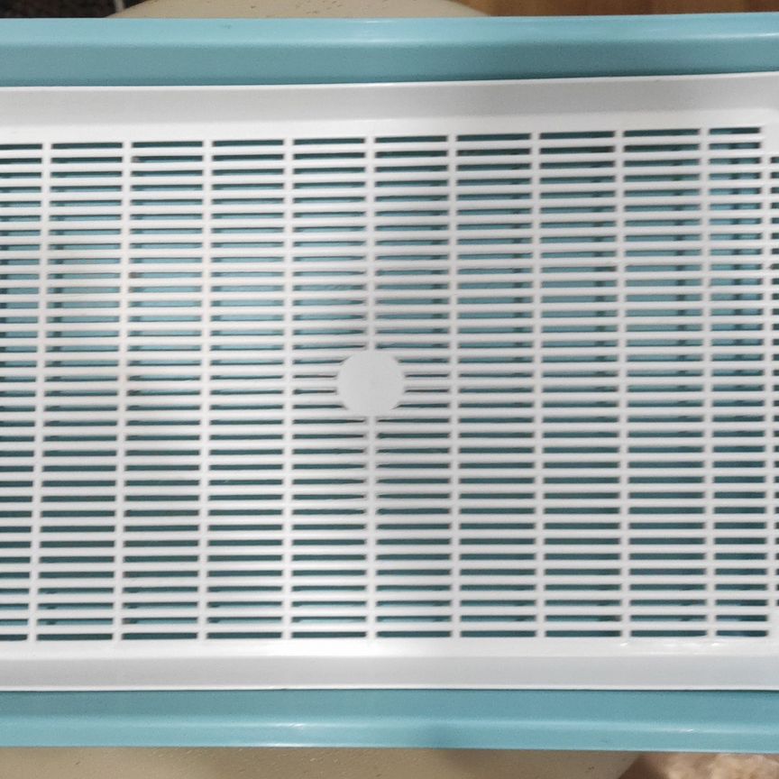 Кошачий лоток