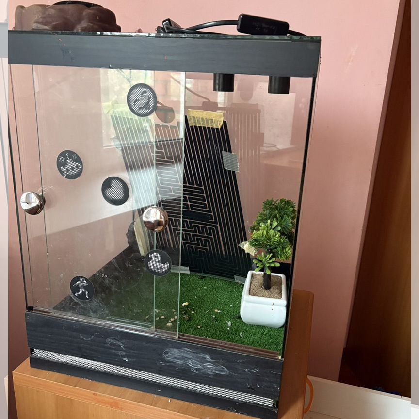 Террариум для хамелеона