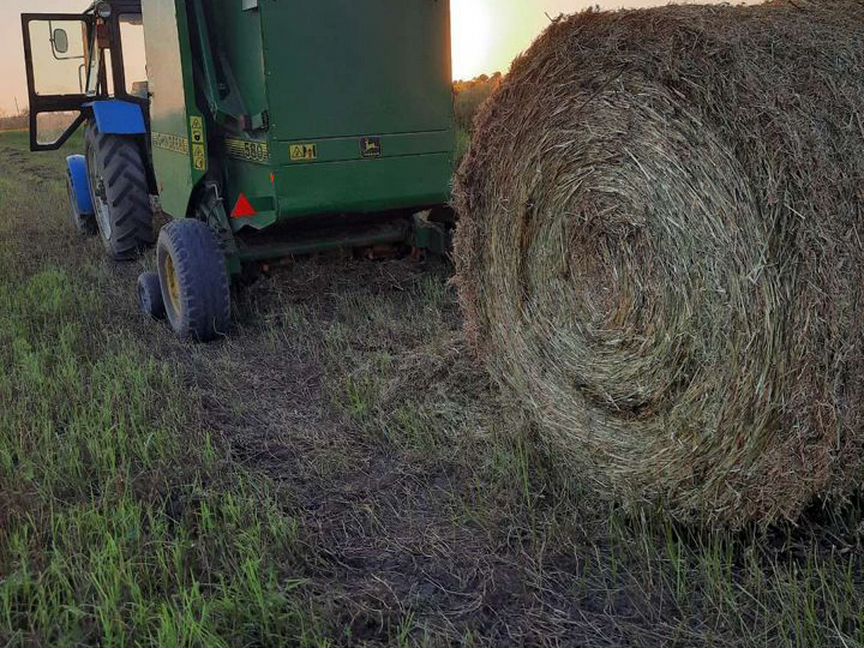 Сено Солома в рулонах