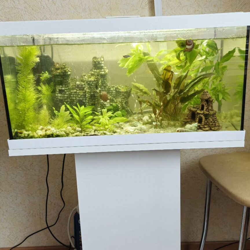 Аквариум 50 л