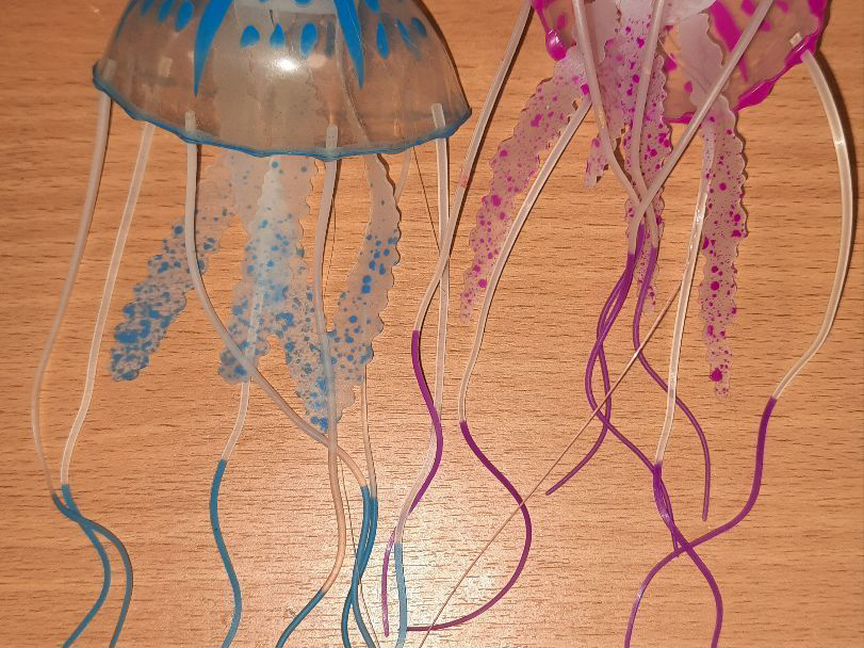 Медузы в аквариум