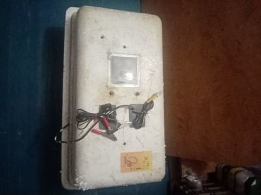 Инкубатор для яиц автоматический бу