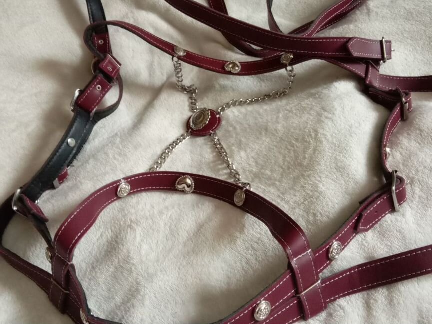 Уздечка с поводом праздничная на пони/шетти