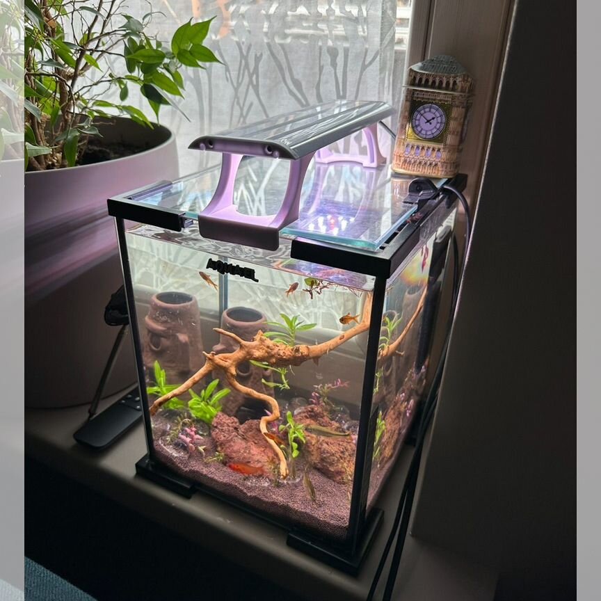 Аквариум-куб aquael 10л