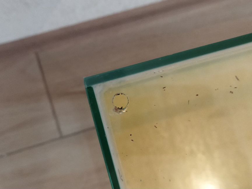 Террариум для амфибий, флорариум