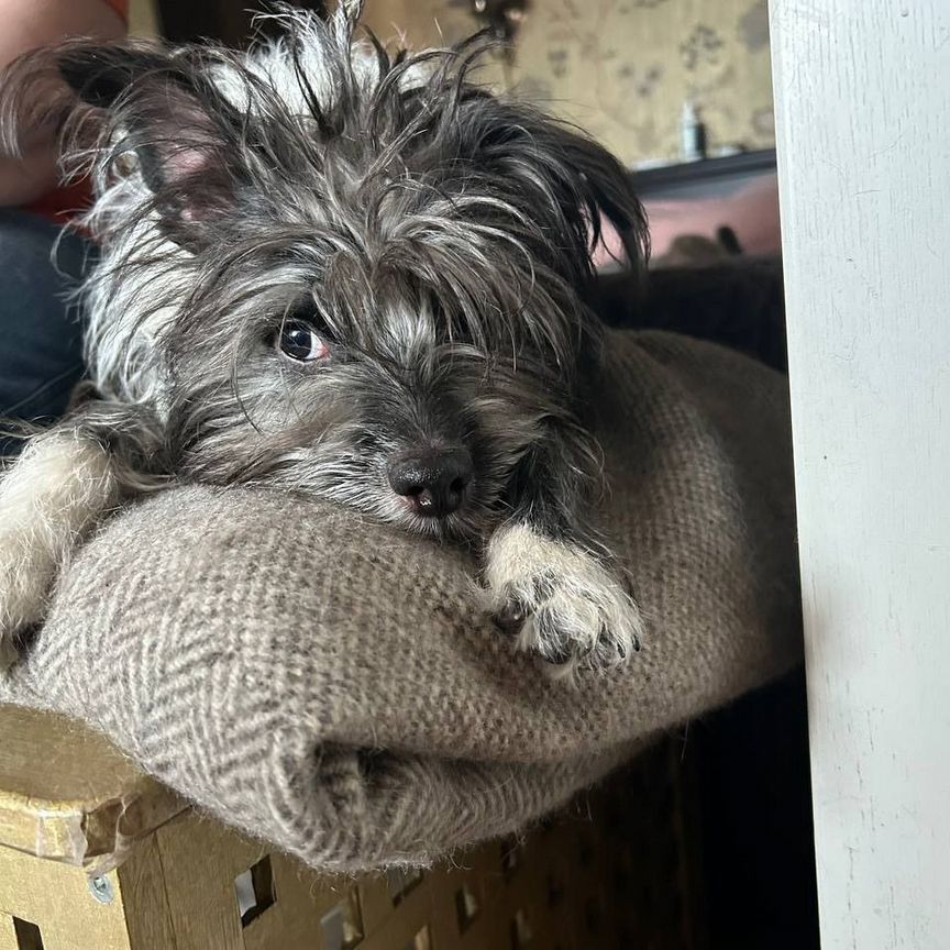 Брошенный мальчик ждет свою настоящую самью