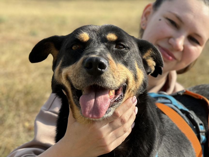 Особенный пёсик Брюс из приюта в добрые руки