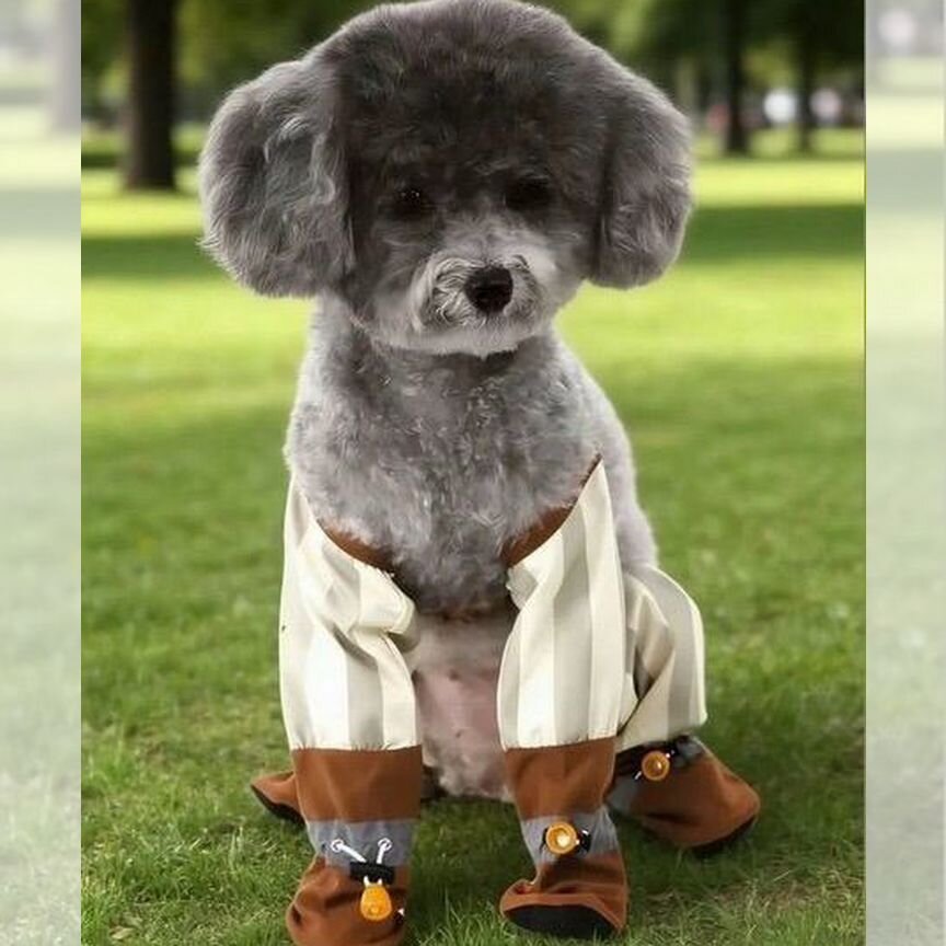 Сапожки для собак на подтяжках XL