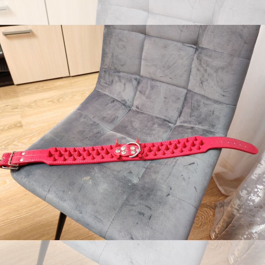 Ошейник для собак средних и крупных пород