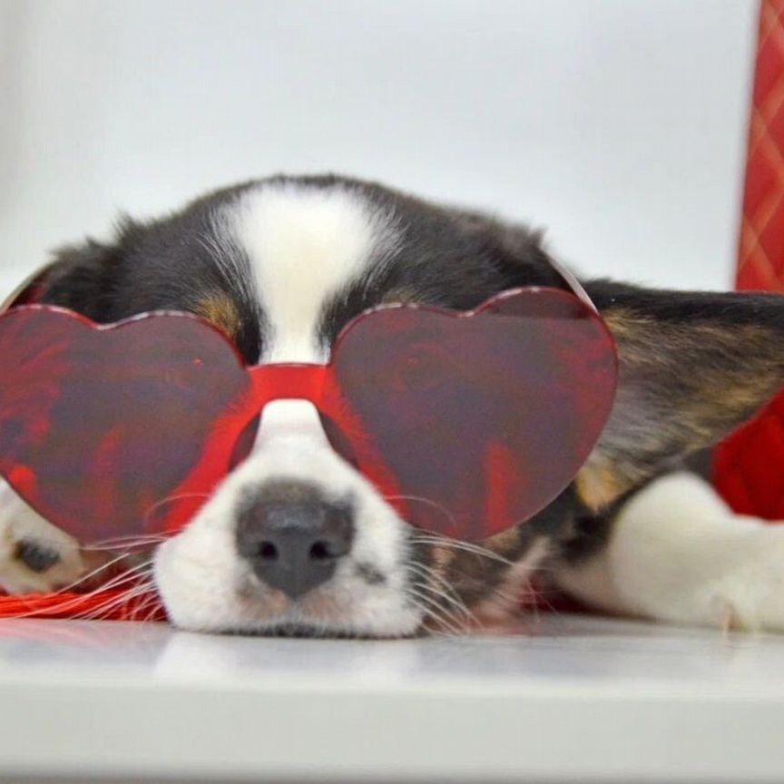 Мэни звезда соц.сетей