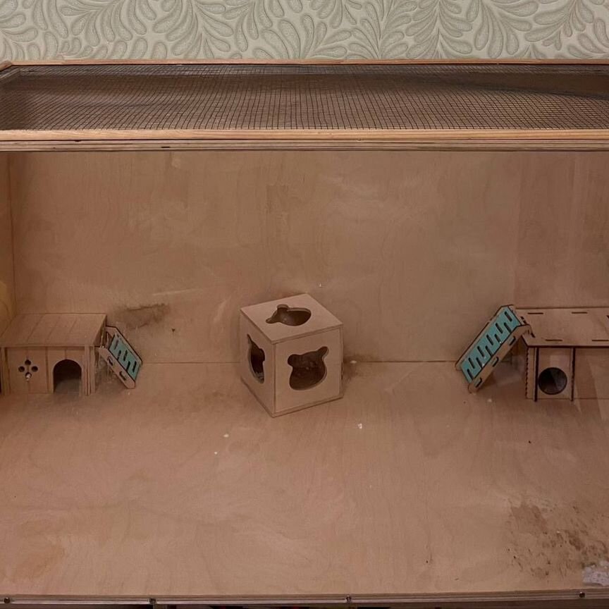 Витрина для хомяка