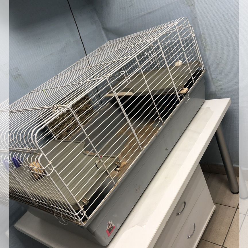 Клетка для грызунов большая бу