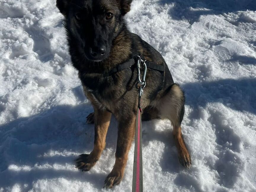 Детство в клетке