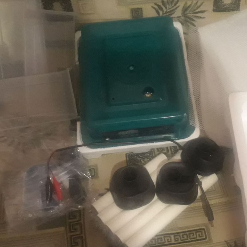 Инкубатор для яиц