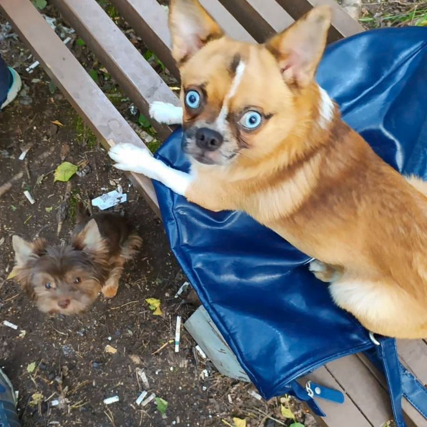 Необыкновенный мальчик